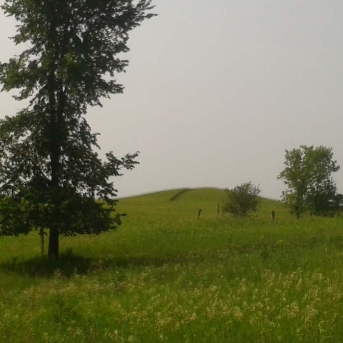 One Mile Prairie Loop | Hiking Trail Maps, Difficulty, Trail Status | onX