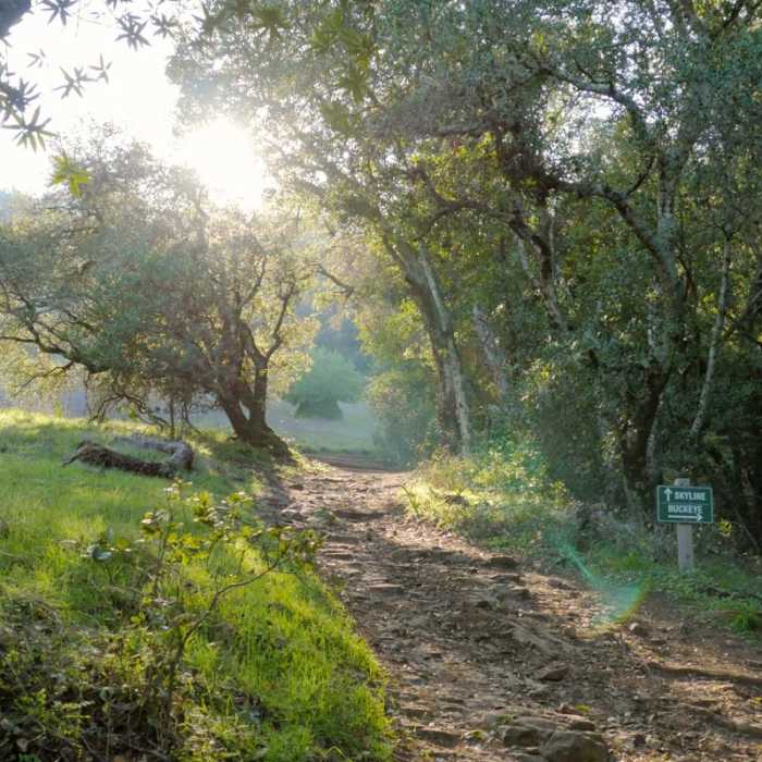 Skyline Park to Lake Marie Loop Hiking Trail | Map, Difficulty, Trail ...