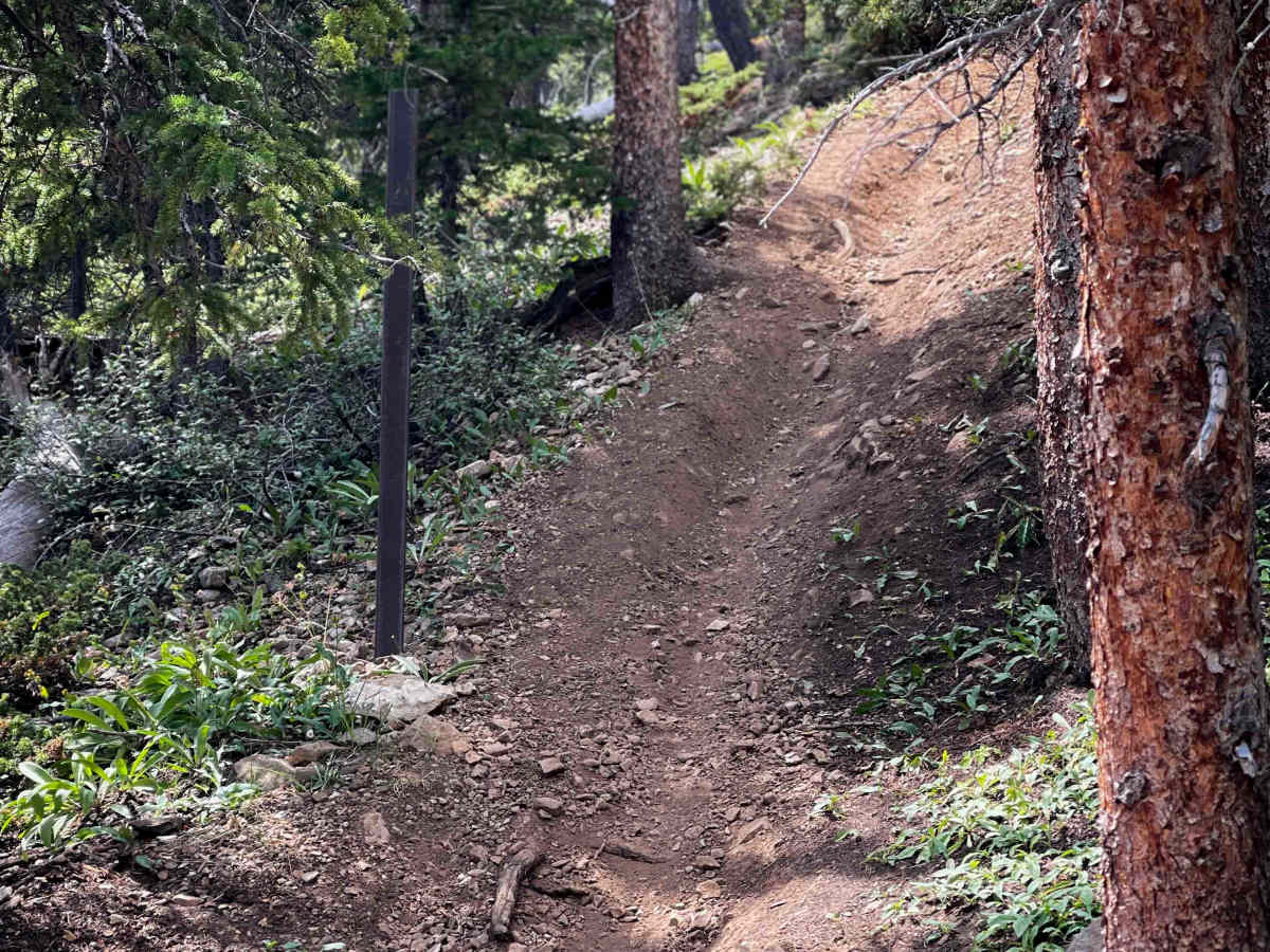 Sheep Mountain Interconnect Trail #740 | Off-Road Trail Maps ...