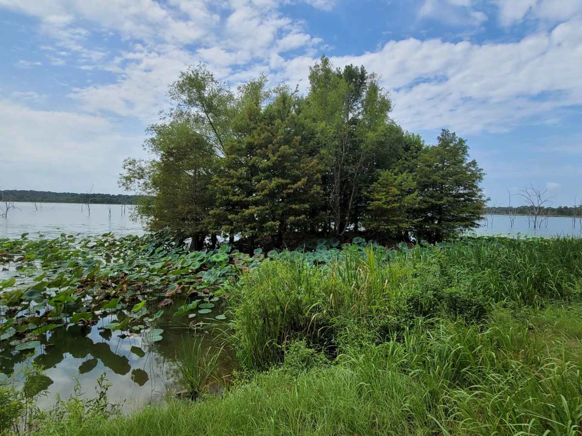 To Bois d'Arc Lake Finger Point Landing | Off-Road Trail Maps ...