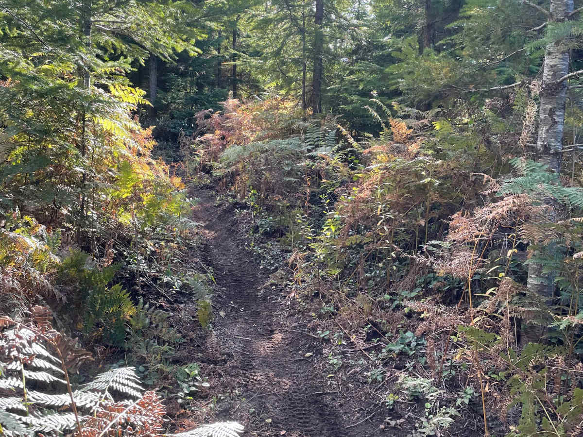 Don't Miss the Fun in the Sun | Off-Road Trail Maps, Difficulty, Trail ...
