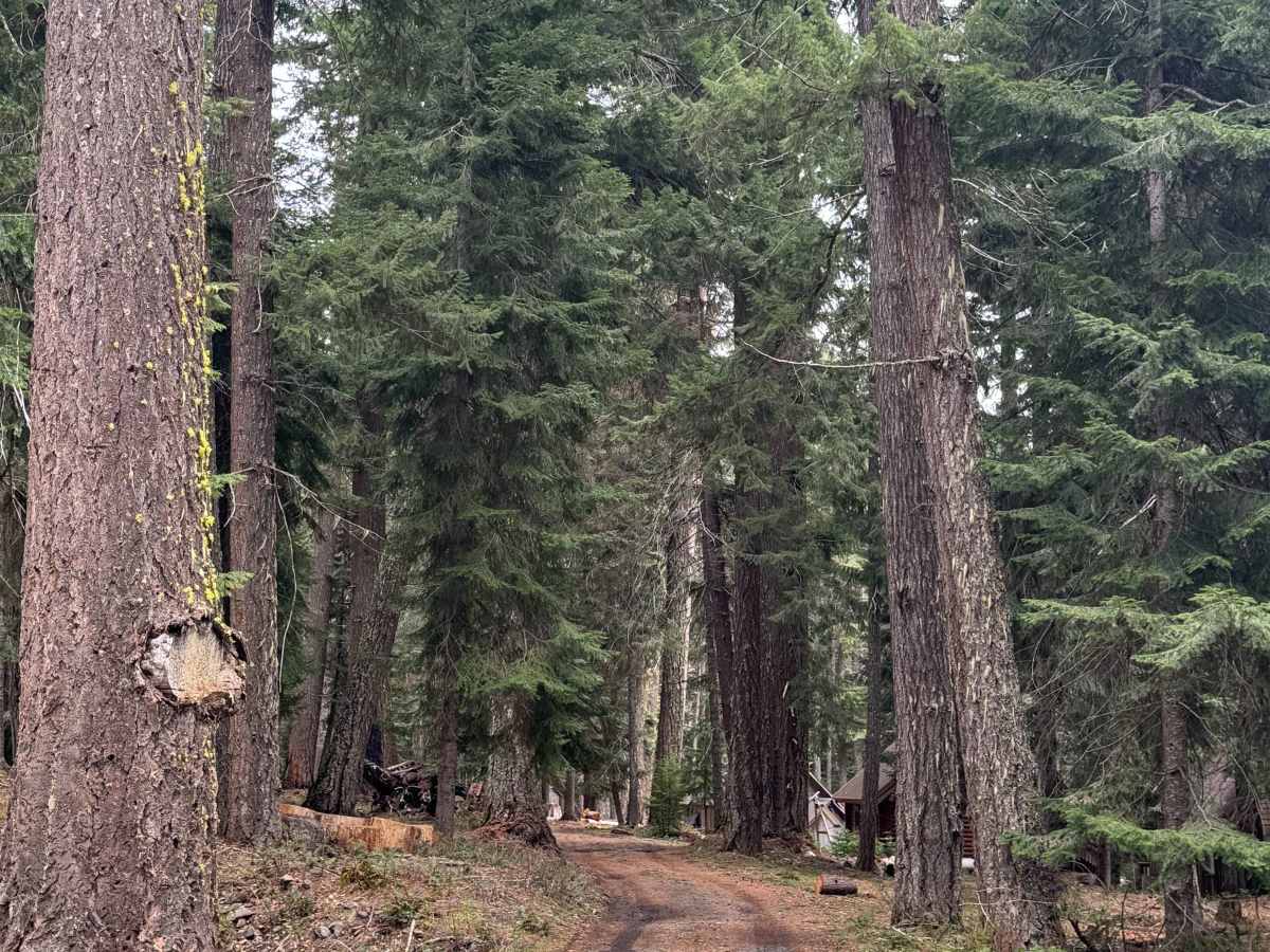 Bumping Lake Road - FS 1800394 | Off-Road Trail Maps, Difficulty, Trail ...