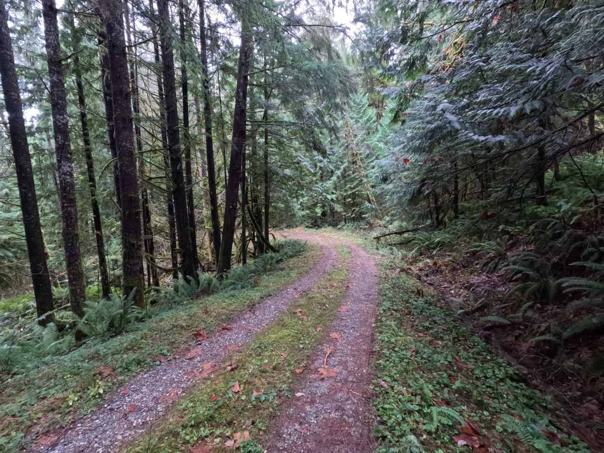 North Side Dan's Creek - FS 2130 | Off-Road Trail Maps, Difficulty ...