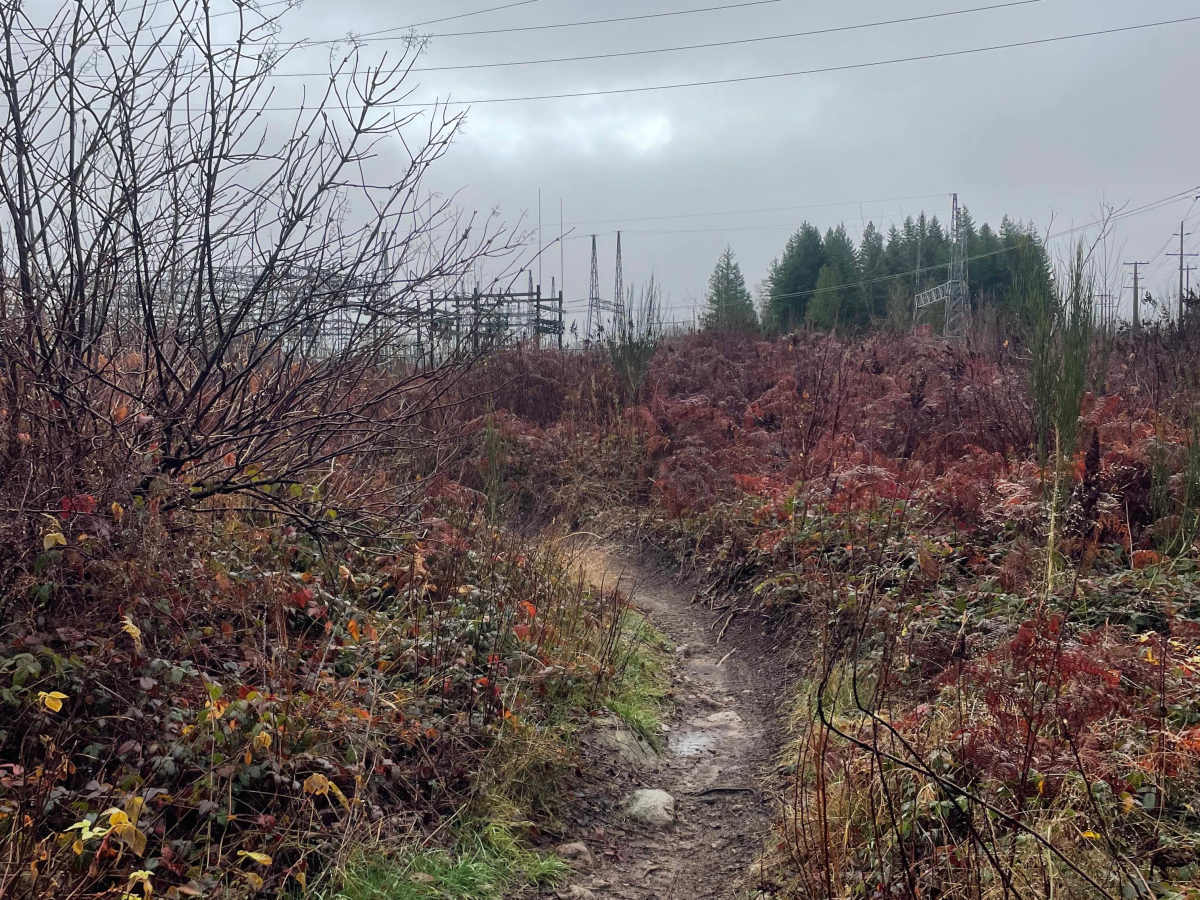 Power Station | Off-Road Trail Maps, Difficulty, Trail Status | onX Offroad