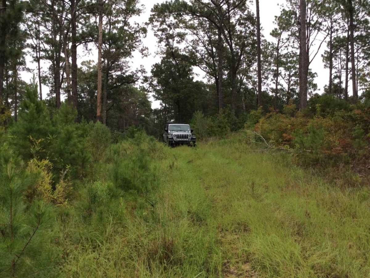 Homochitto National Forest Trail 126B | Off-Road Trail Maps, Difficulty ...