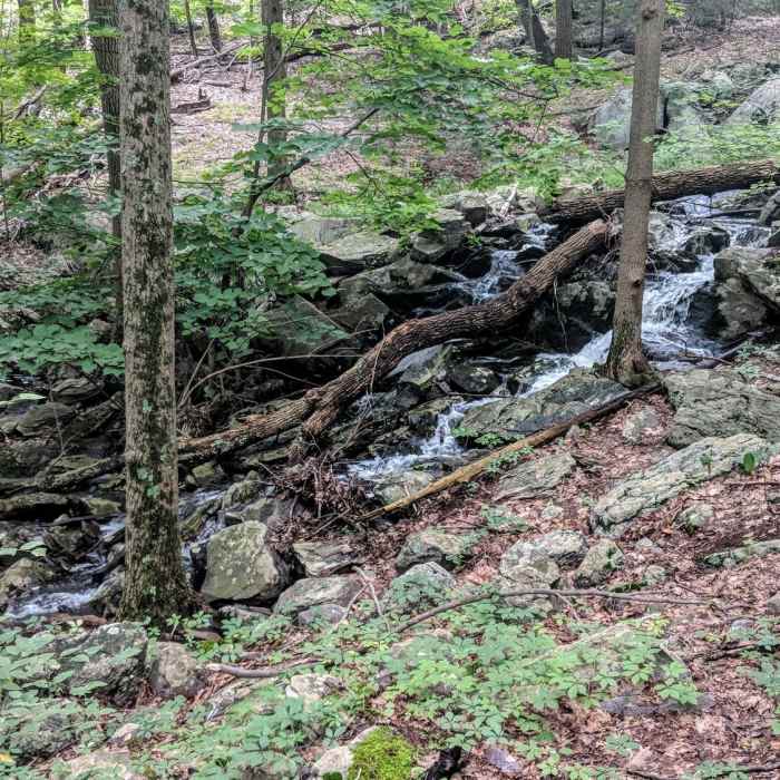Quail Trail | Hiking Trail Maps, Difficulty, Trail Status | onX