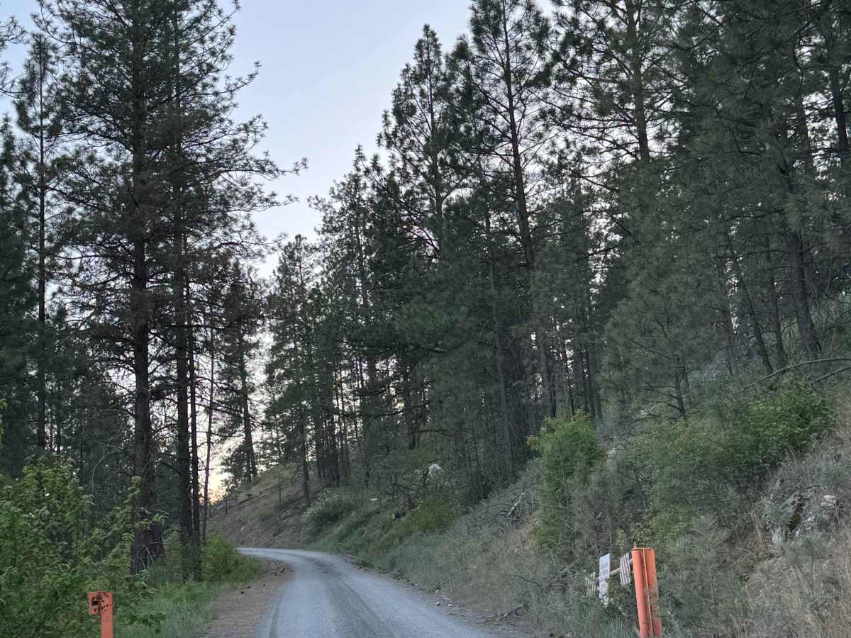 Trout Lake Road | Off-Road Trail Maps, Difficulty, Trail Status | onX ...
