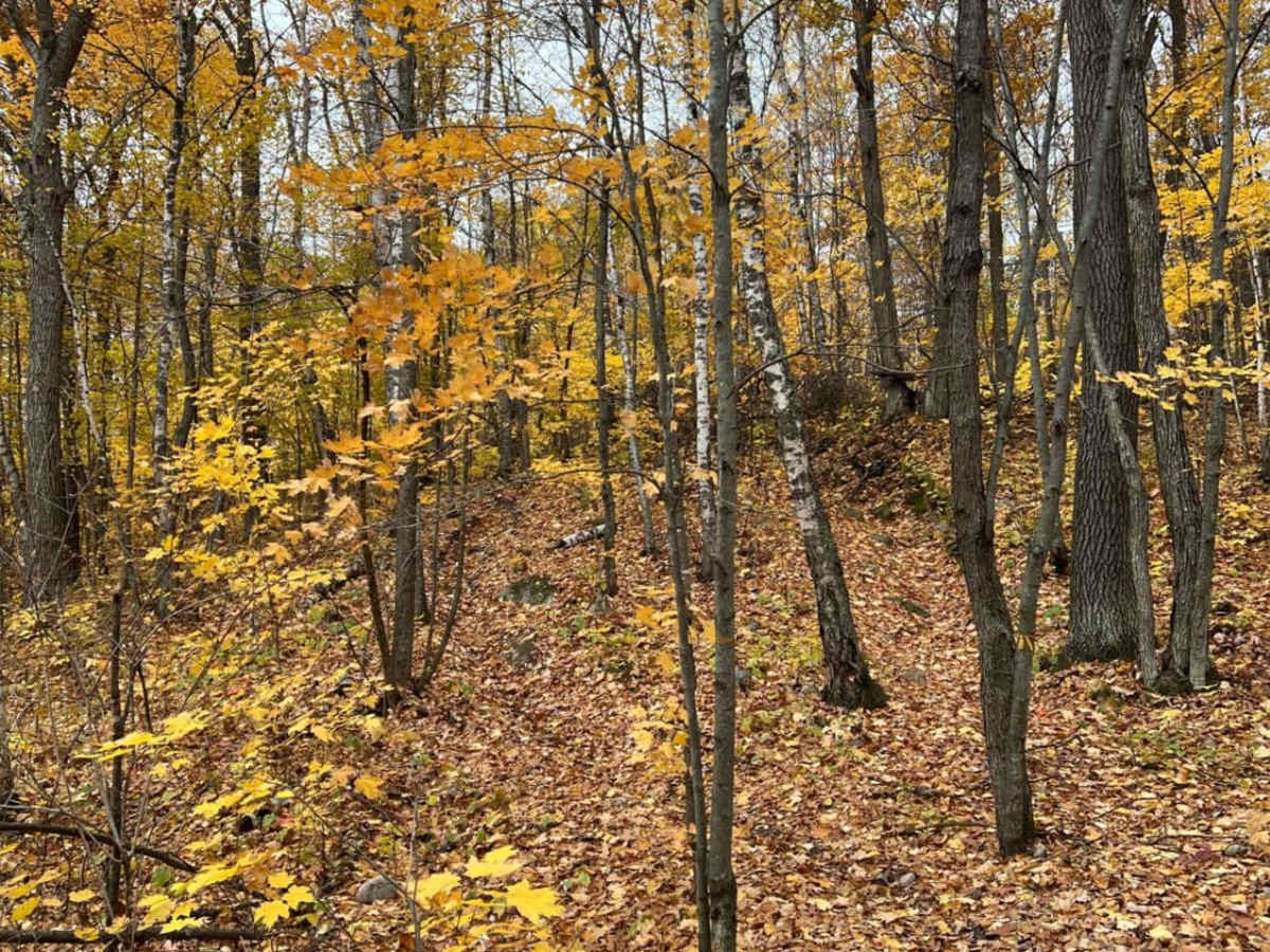 Neverland | Off-Road Trail Maps, Difficulty, Trail Status | onX Offroad