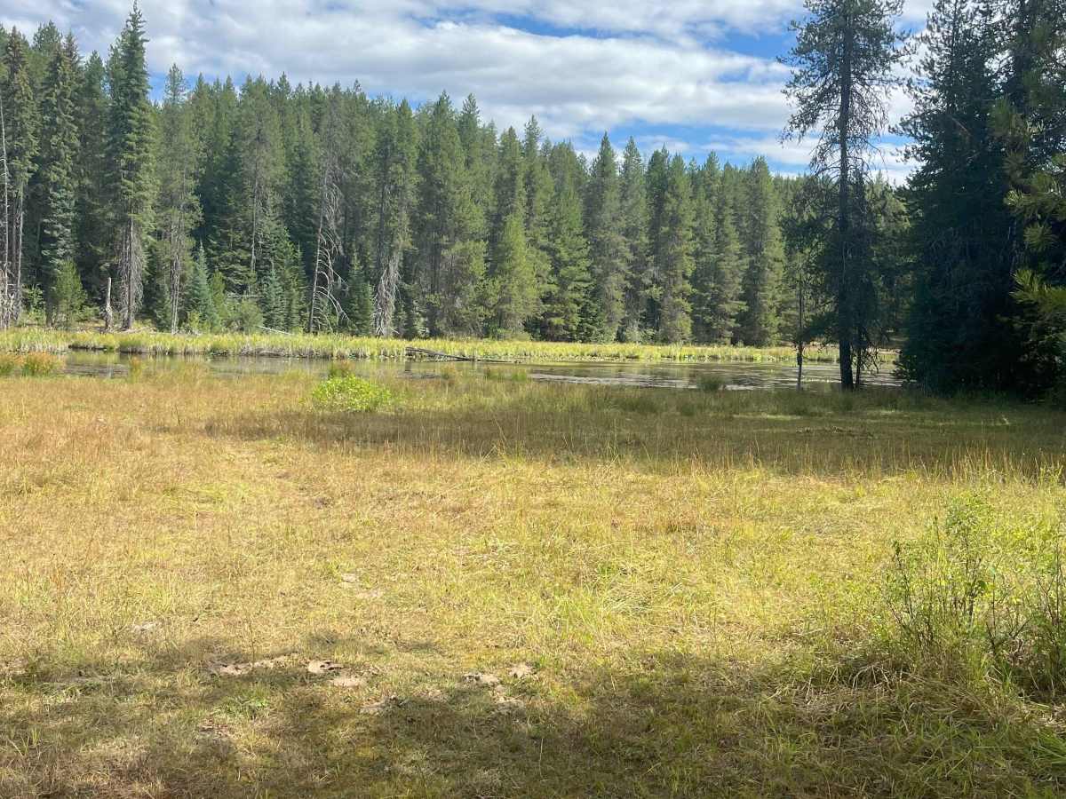 Moose Creek Lower Road Track | Off-Road Trail Maps, Difficulty, Trail ...