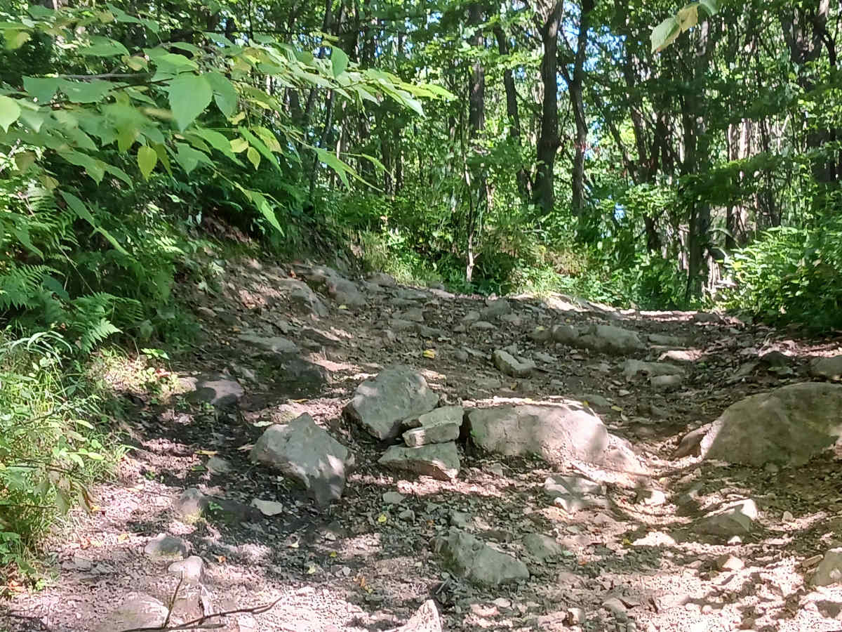 Trail 14B - Rock Run Recreation Area | Off-Road Trail Maps, Difficulty ...