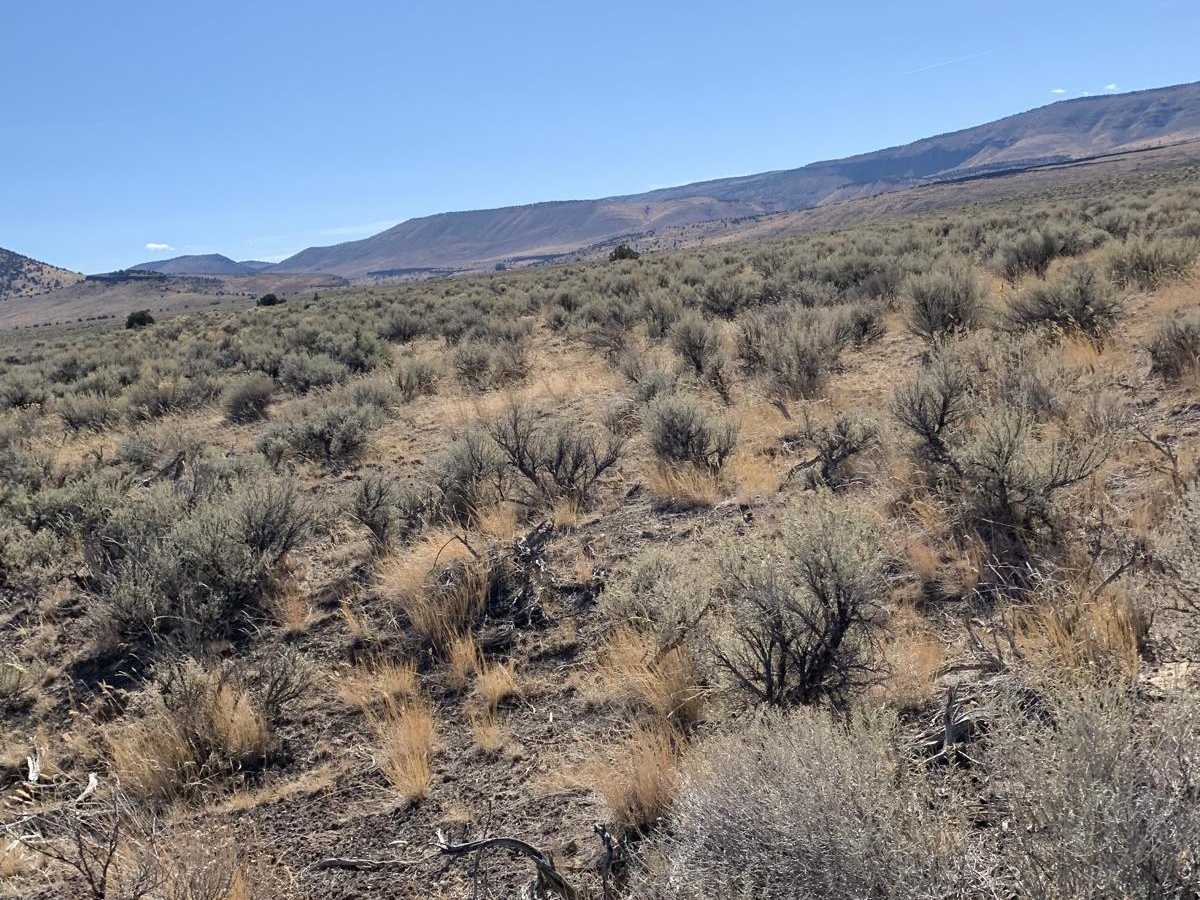 Virginia valley cinder pile | Off-Road Trail Maps, Difficulty, Trail ...