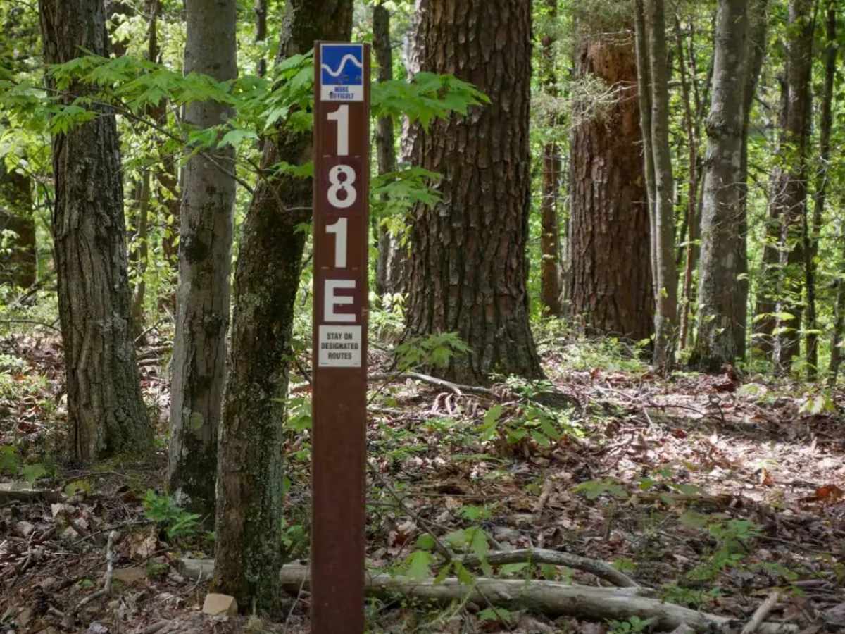 181-E | Off-Road Trail Maps, Difficulty, Trail Status | onX Offroad