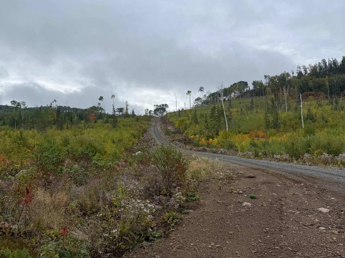 Sandstone Lake | Off-Road Trail Maps, Difficulty, Trail Status | onX ...