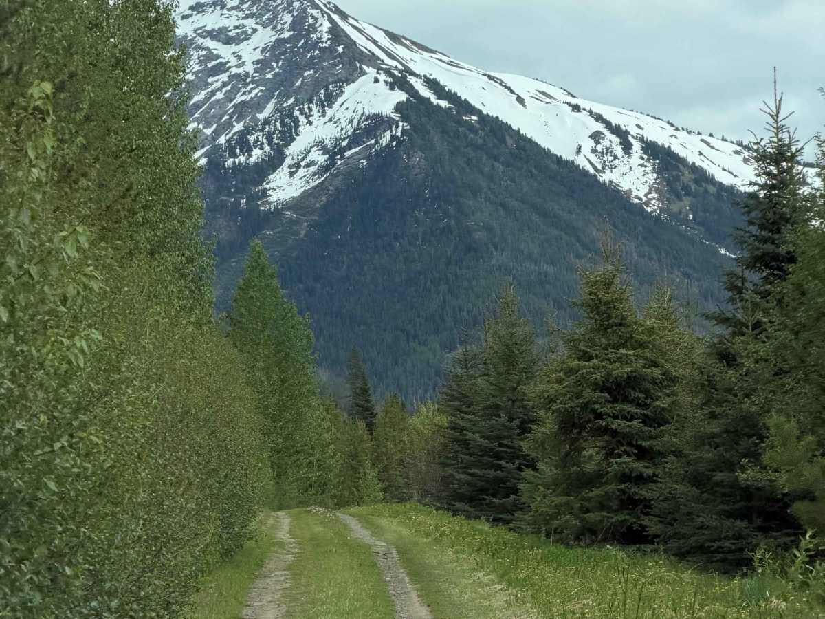 Kingdom Lake FSR | Off-Road Trail Maps, Difficulty, Trail Status | onX ...