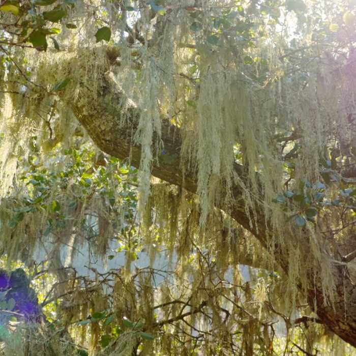 Skyline Park to Lake Marie Loop Hiking Trail | Map, Difficulty, Trail ...