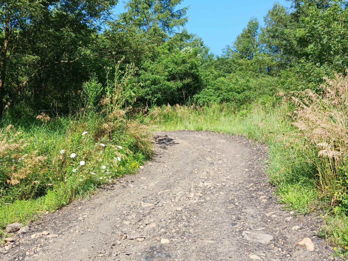 Trail 12X - Rock Run Recreation Area | Off-Road Trail Maps, Difficulty ...