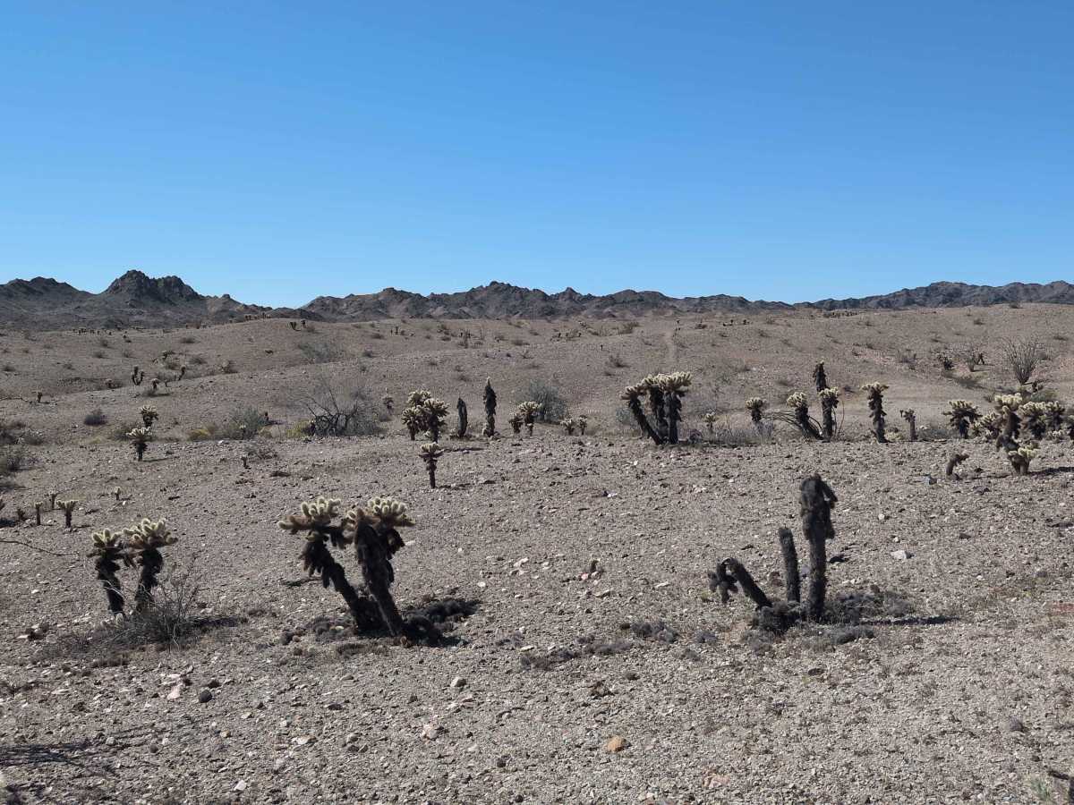 BLM 729 | Off-Road Trail Maps, Difficulty, Trail Status | onX Offroad
