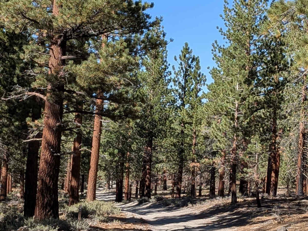 Obsidian Dome Road/Glass Flow Road - NF2S10 | Off-Road Trail Maps ...