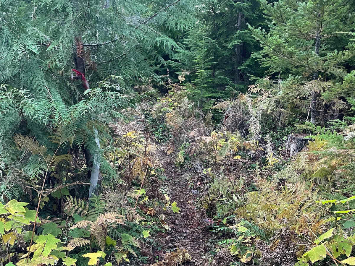 Bridge Climb | Off-Road Trail Maps, Difficulty, Trail Status | onX Offroad
