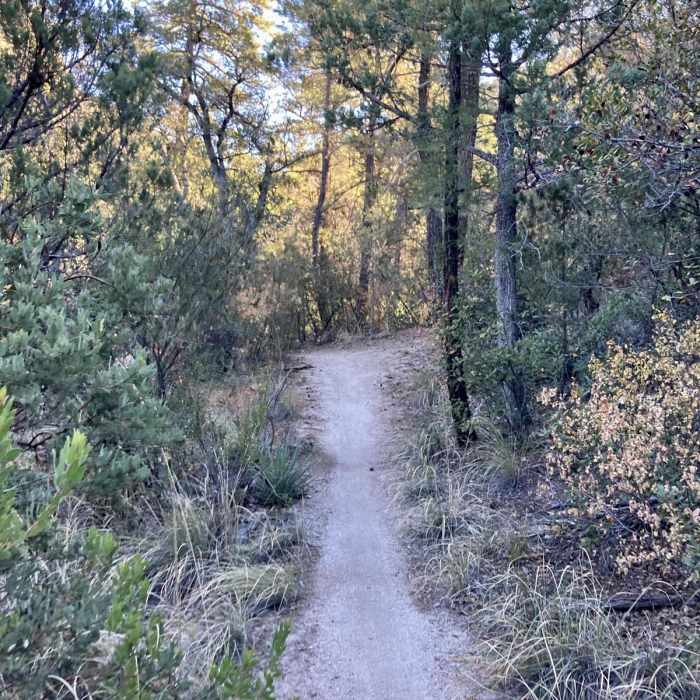 Bug Springs Trail Hiking Trail | Map, Difficulty, Trail Status | onX
