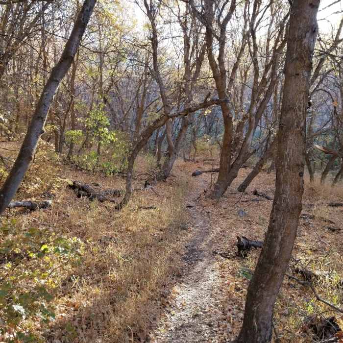 GWT: Dry Canyon Trail #049 | Hiking Trail Maps, Difficulty, Trail ...