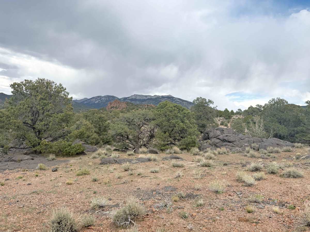 Pony Express Trail 1860 California Telegraph Route | Off-Road Trail ...