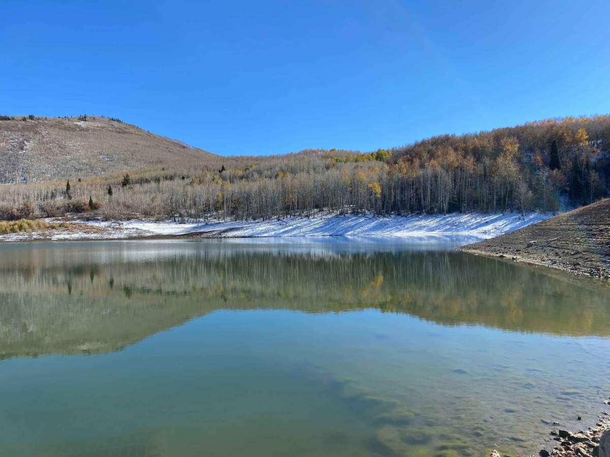 Dinkle Lake Road | Off-Road Trail Maps, Difficulty, Trail Status | onX ...