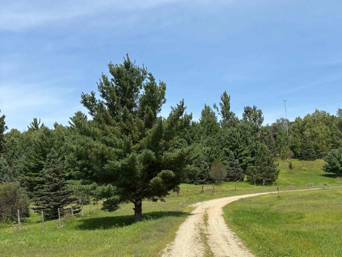 Rat Lake Trail | Off-Road Trail Maps, Difficulty, Trail Status | onX ...