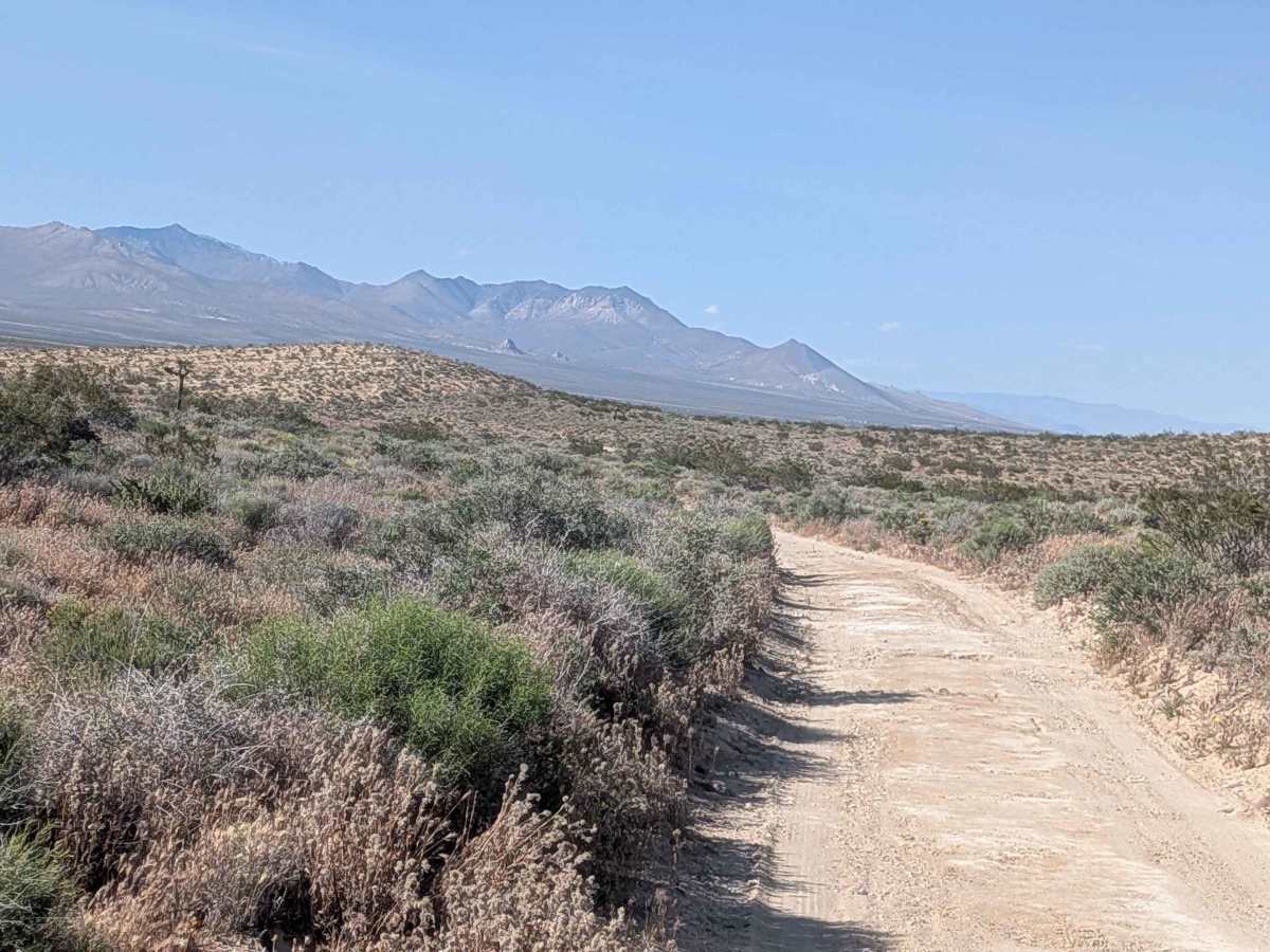 Roaring Ridge Cut Off | Off-Road Trail Maps, Difficulty, Trail Status ...