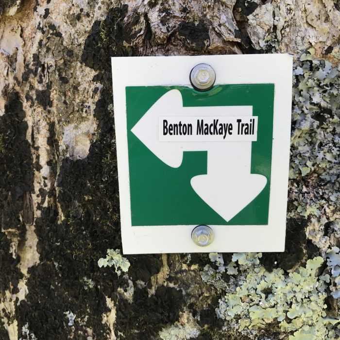 Haoe Lead Trail #53 | Hiking Trail Maps, Difficulty, Trail Status | onX