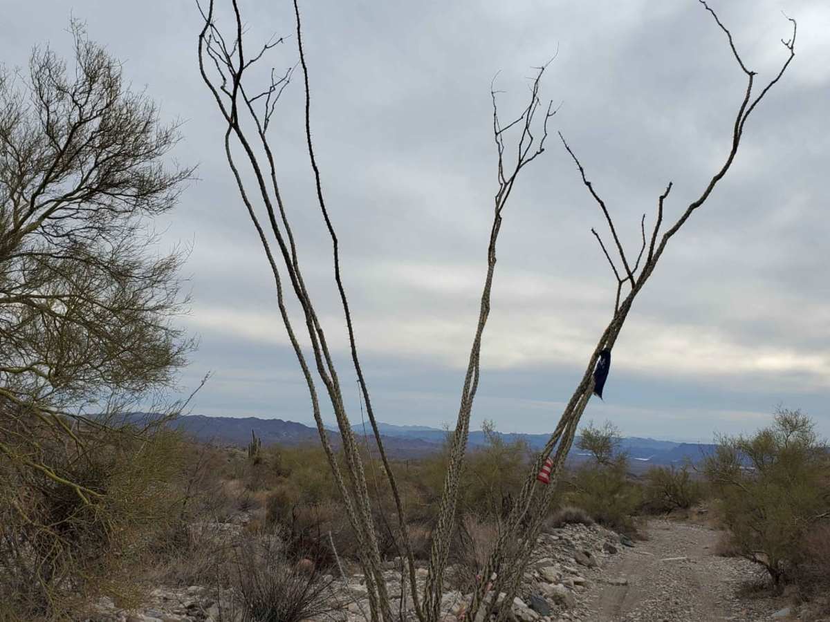 Not Quite Over the Top | Off-Road Trail Maps, Difficulty, Trail Status ...