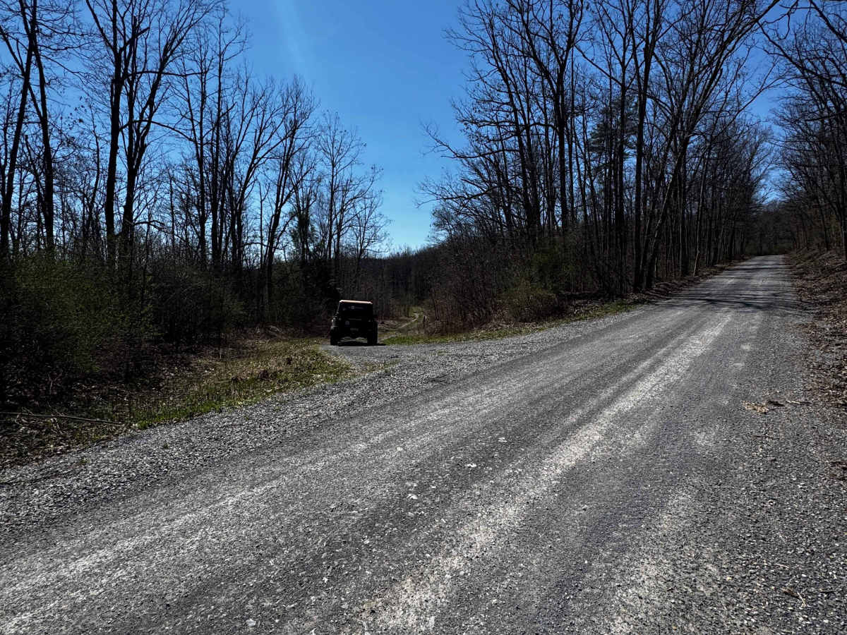 Little Council Run Trail | Off-Road Trail Maps, Difficulty, Trail ...