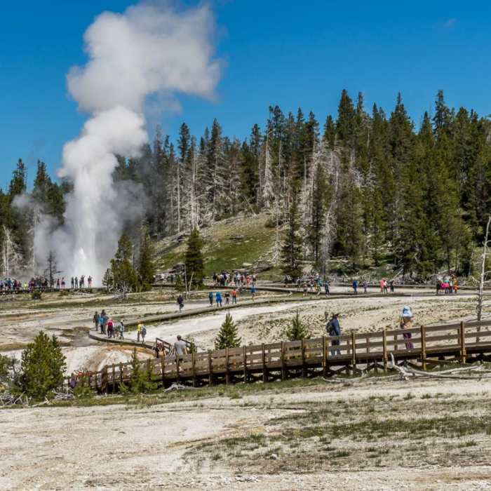 Upper Geyser Basin Trail Hiking Trail | Map, Difficulty, Trail Status | onX