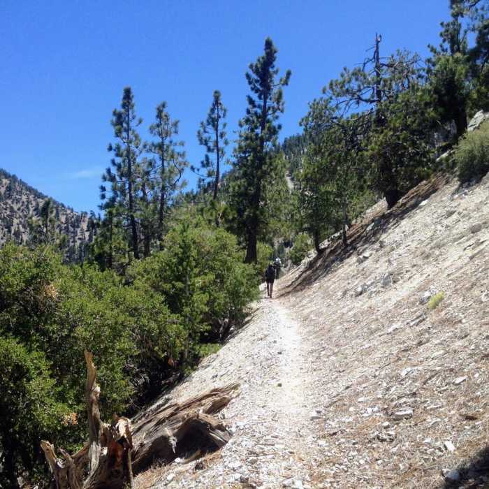 Pleasant View Loop Hiking Trail | Map, Difficulty, Trail Status | onX