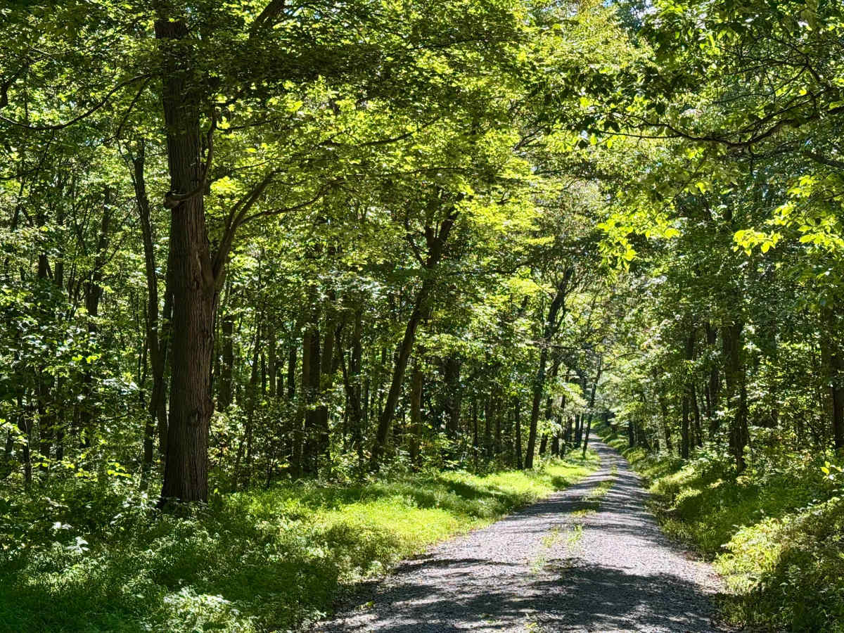 Fisher Road | Off-Road Trail Maps, Difficulty, Trail Status | onX Offroad
