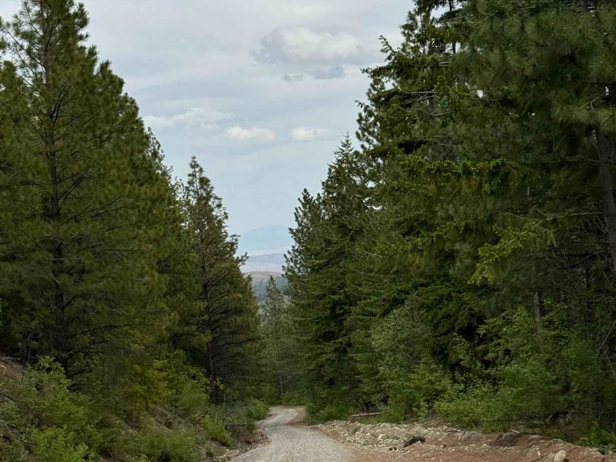Black Canyon Road - FS 4010 | Off-Road Trail Maps, Difficulty, Trail ...