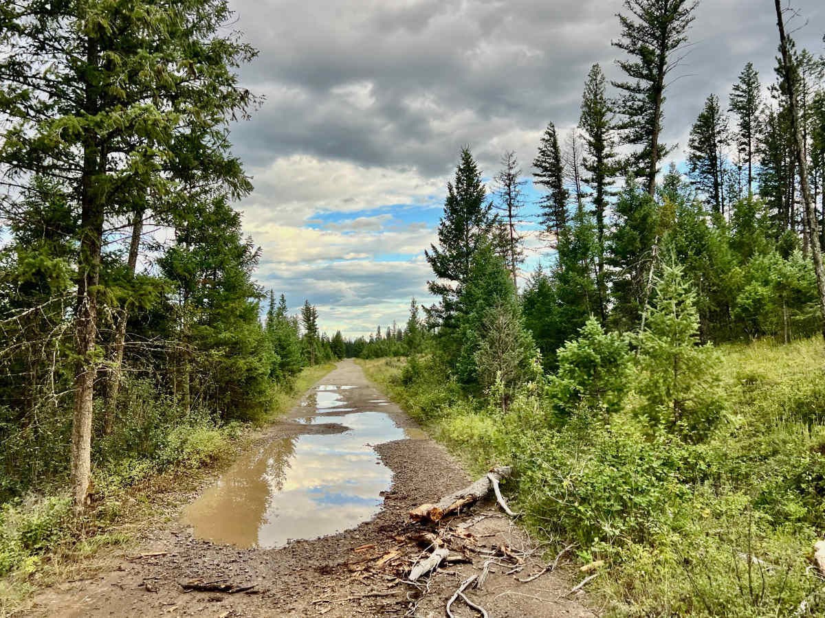 Rock Lake Road | Off-Road Trail Maps, Difficulty, Trail Status | onX ...