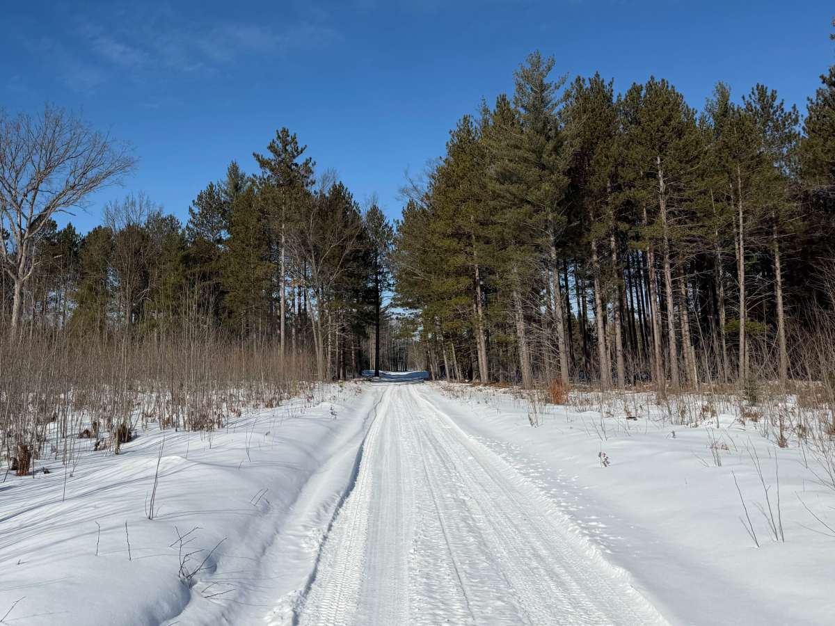 Moore Road | Off-Road Trail Maps, Difficulty, Trail Status | onX Offroad