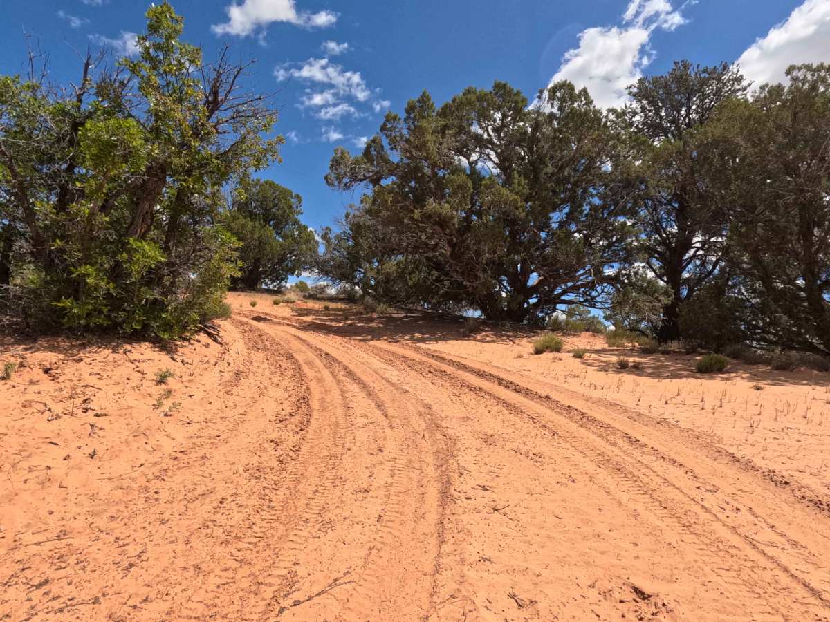 BLM 101G | Off-Road Trail Maps, Difficulty, Trail Status | onX Offroad
