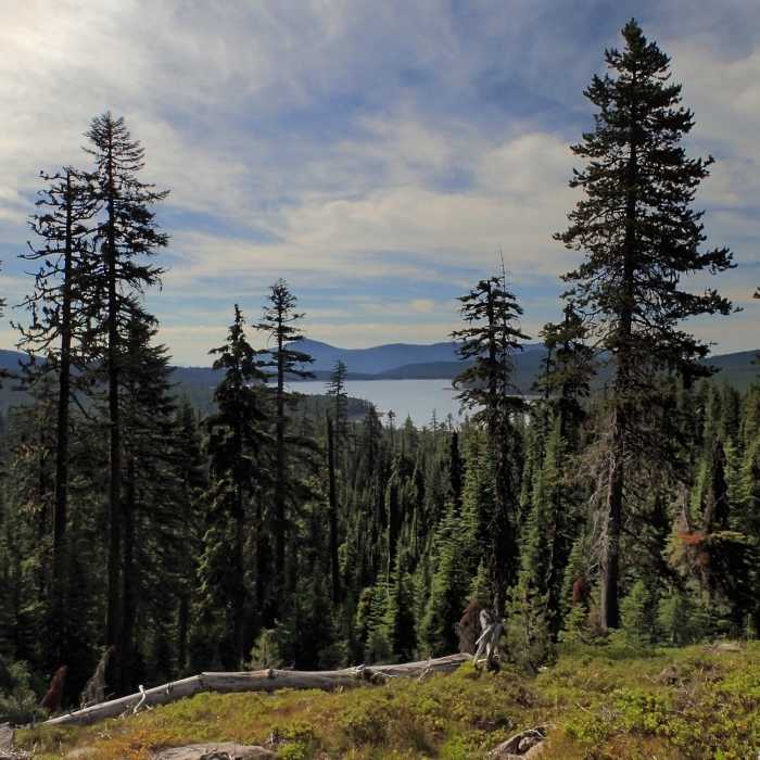 PCT: Highway 140 to Highway 138 (near Cascade Crest) | Hiking Trail ...