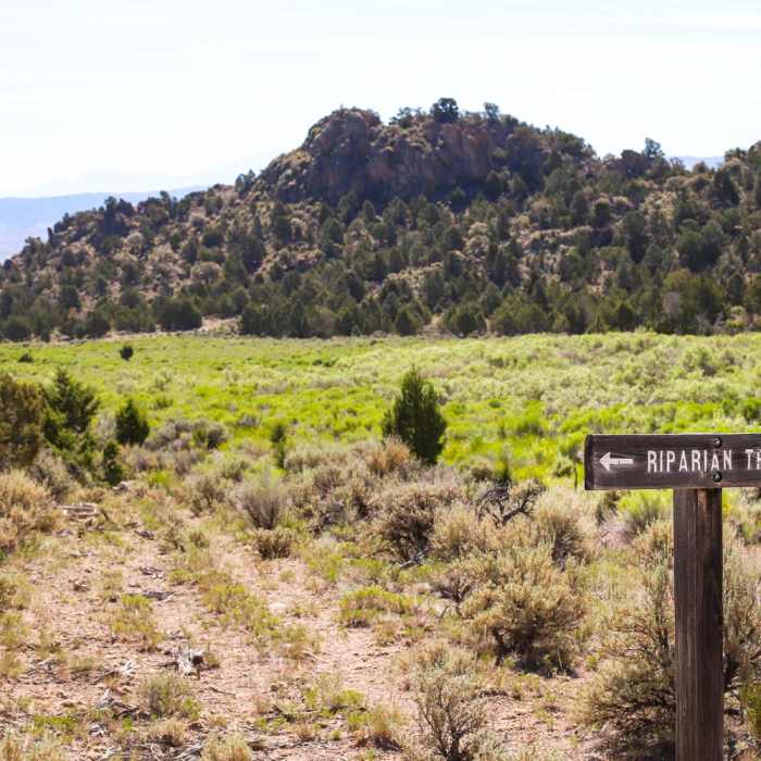 Ridgeline Loop Hiking Trail | Map, Difficulty, Trail Status | onX