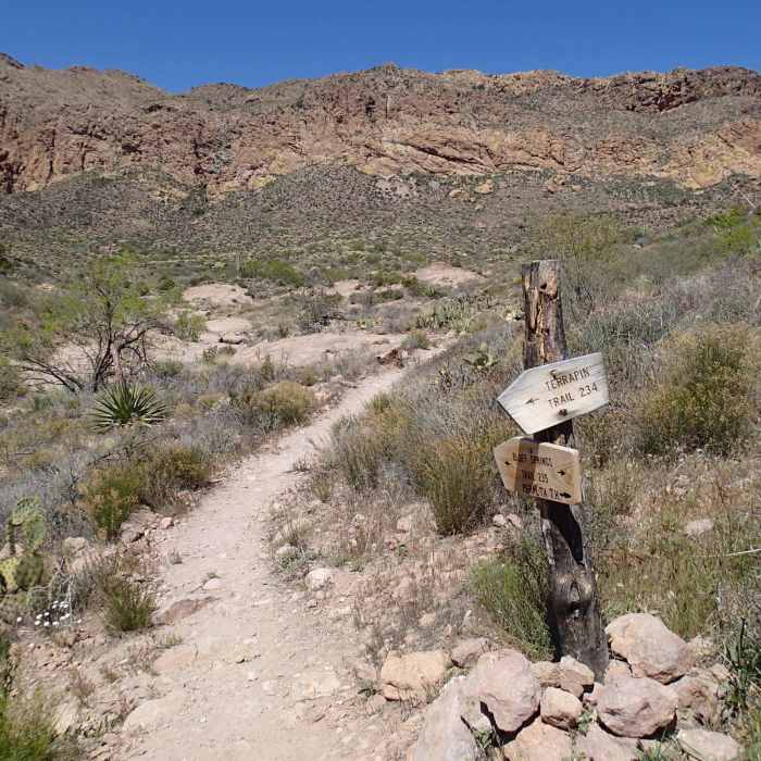 Terrapin Trail #234 | Hiking Trail Maps, Difficulty, Trail Status | onX