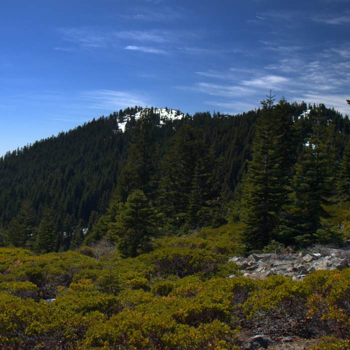 Grayback Mountain Trail | Hiking Trail Maps, Difficulty, Trail Status | onX