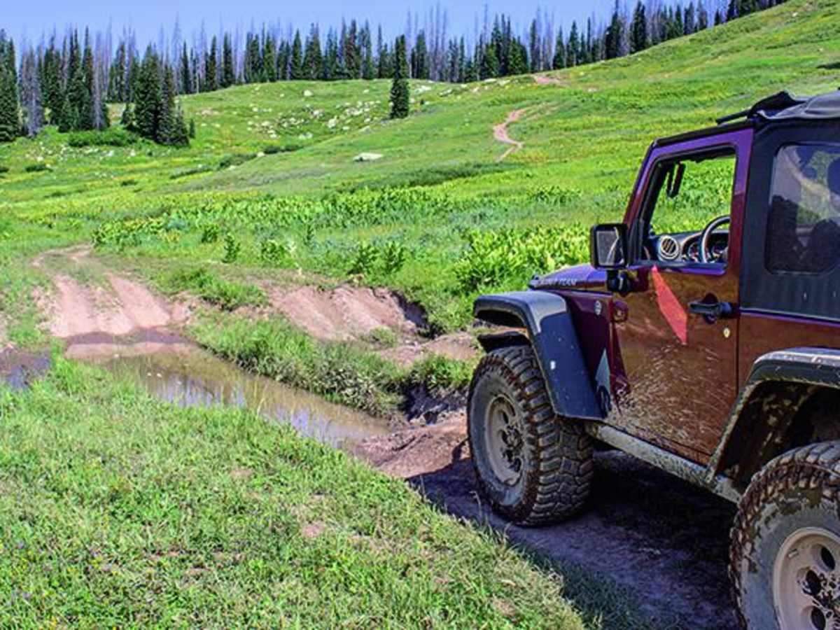 Farwell Mountain via Lost Dog | Off-Road Trail Maps, Difficulty, Trail ...