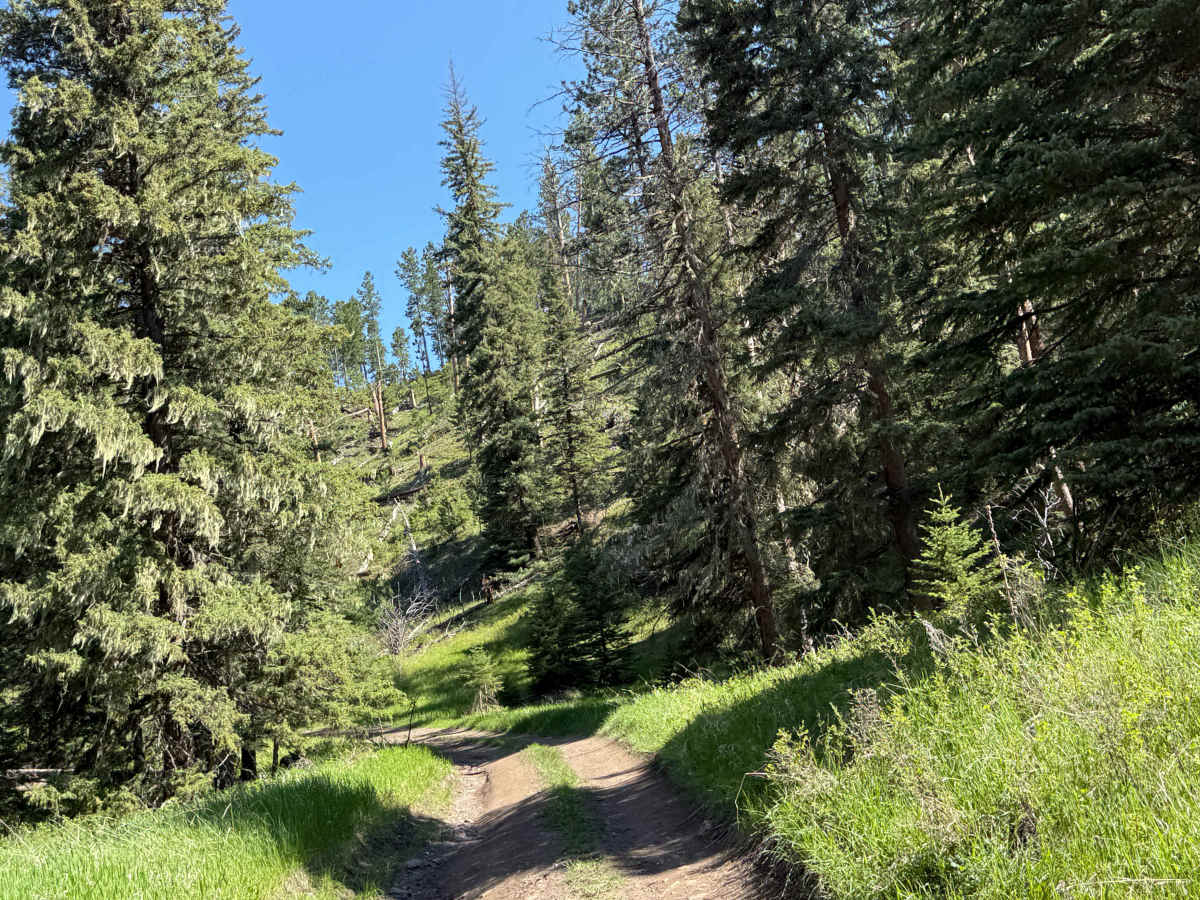 Beaver Draw - FS 233.2D | Off-Road Trail Maps, Difficulty, Trail Status ...