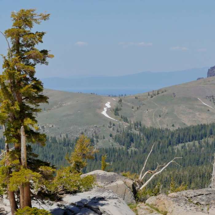Woods Lake Loop via Winnemucca Lake Hiking Trail | Map, Difficulty ...