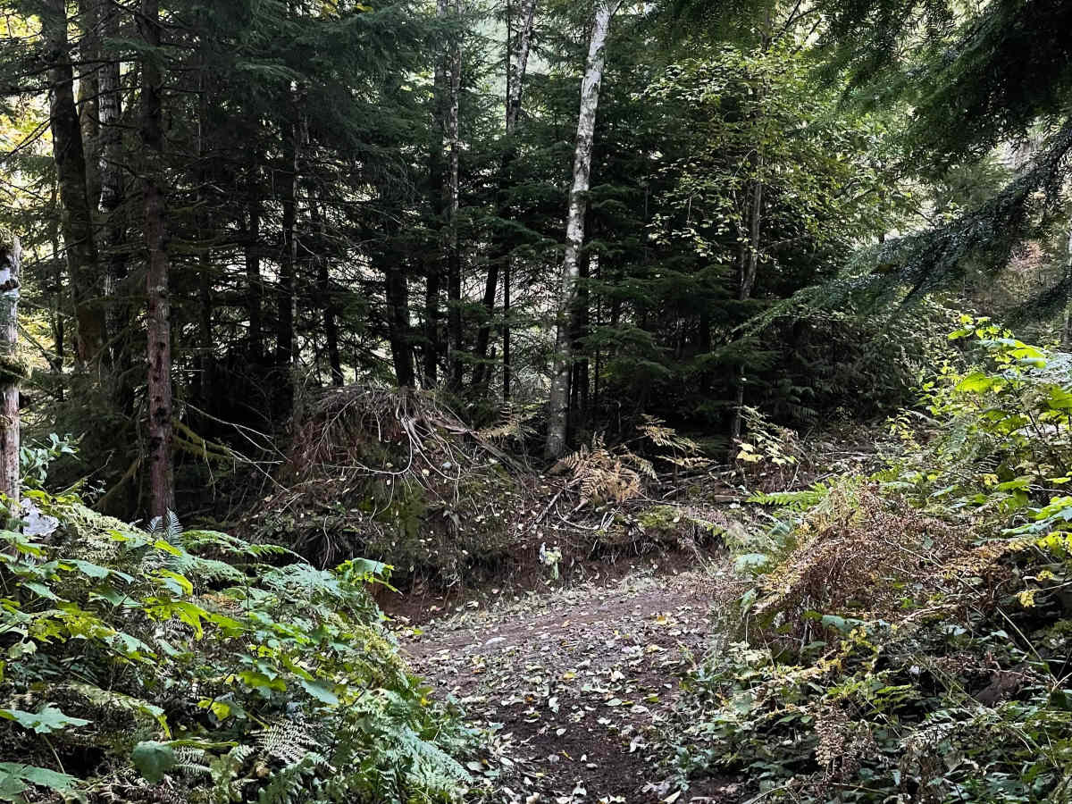 Connection Junction | Off-Road Trail Maps, Difficulty, Trail Status ...