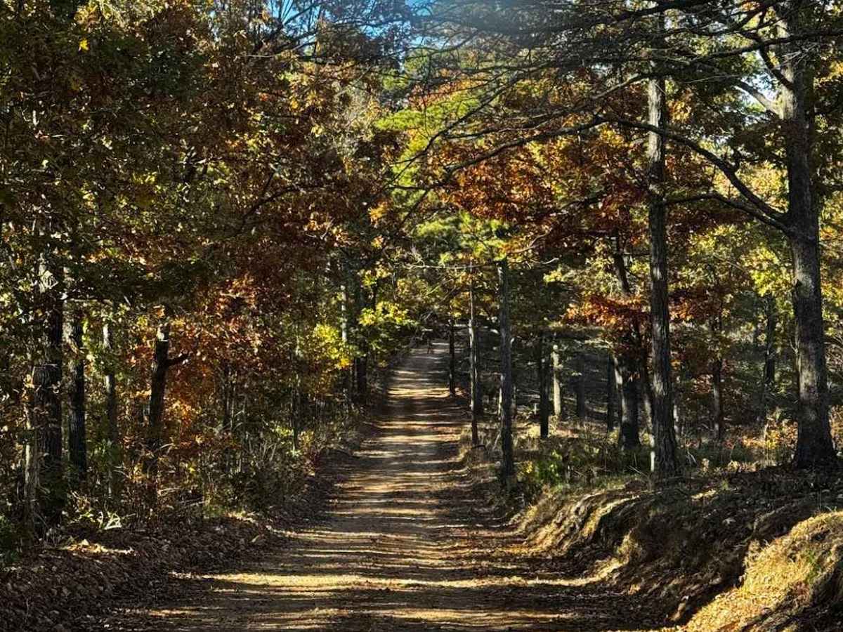 WMA Road 9 | Off-Road Trail Maps, Difficulty, Trail Status | onX Offroad