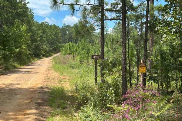 Best Off-Road Trails Near Mosses, Alabama | Maps, Ratings & Info | onX
