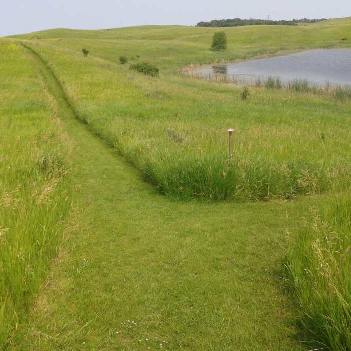 One Mile Prairie Loop | Hiking Trail Maps, Difficulty, Trail Status | onX
